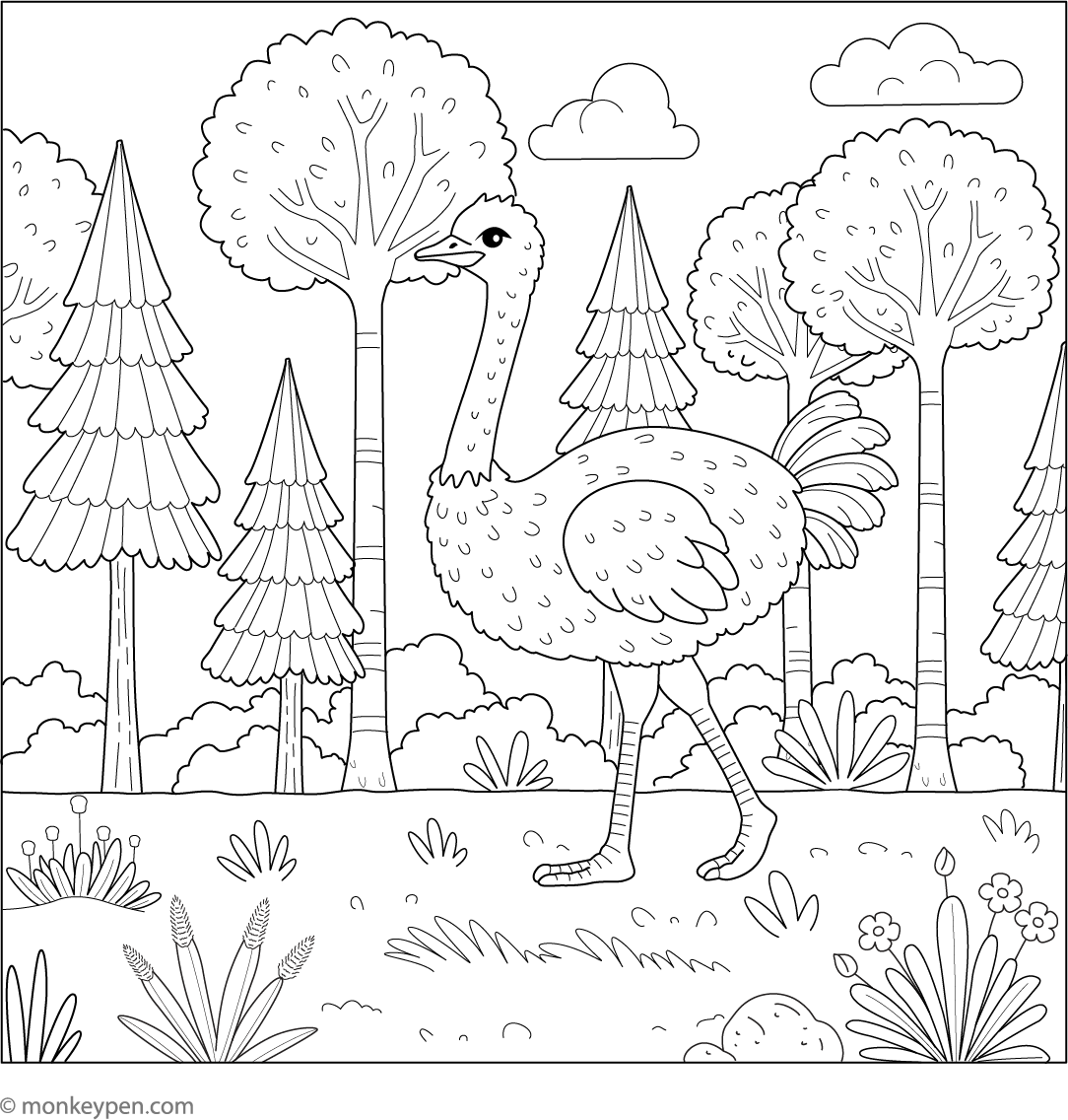 Ostrich Coloring Book – Free Kids Coloring Page PDF