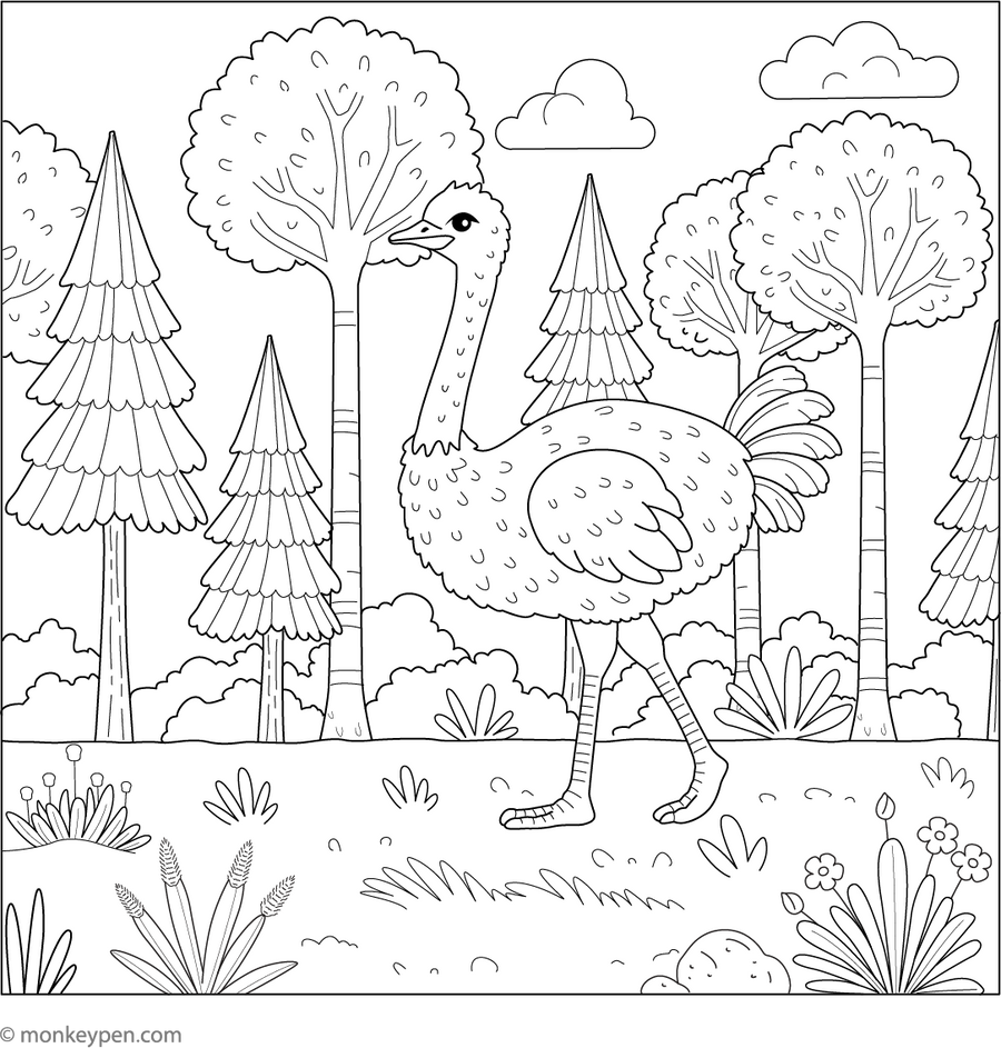 Ostrich Coloring Book – Free Kids Coloring Page PDF