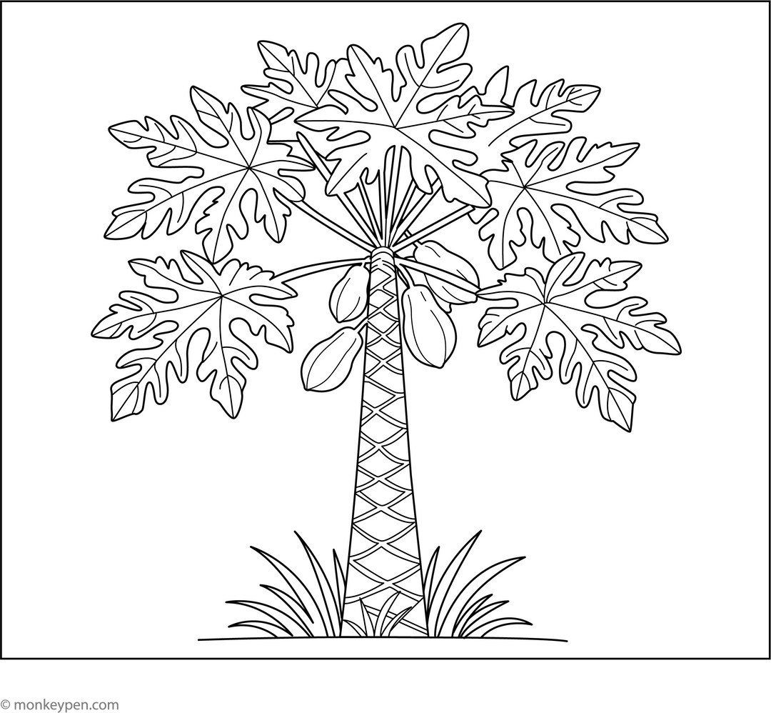 Free Printable Papaya Tree Coloring Page for Kids Fun