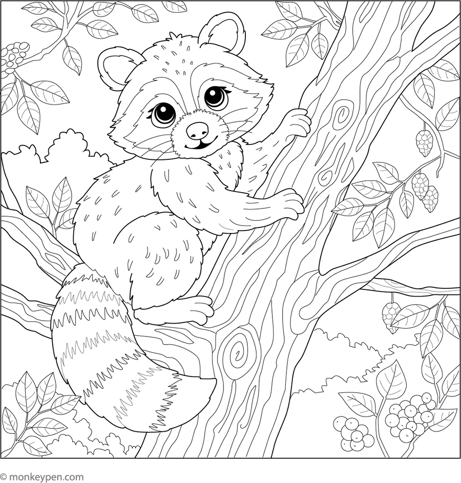 Raccoon Coloring Book – Free Printable Download for Kids