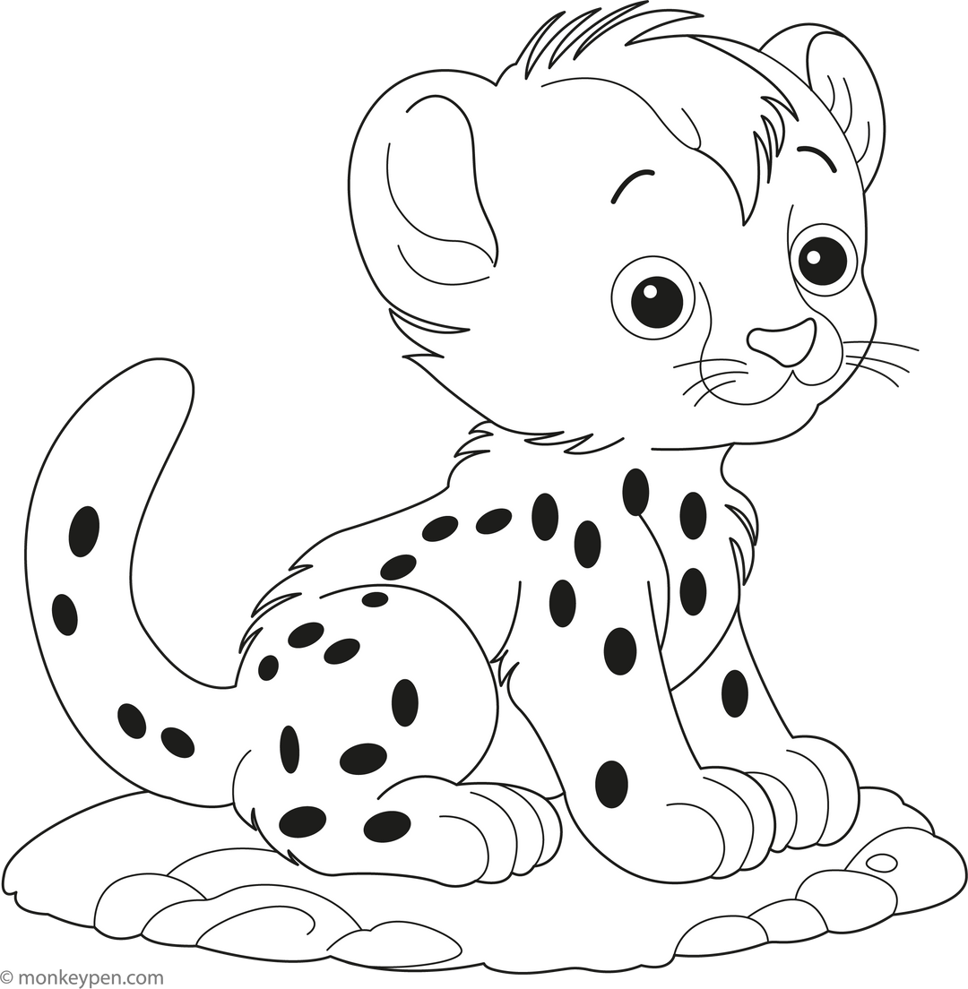 Baby Cheetah - Free Coloring Page