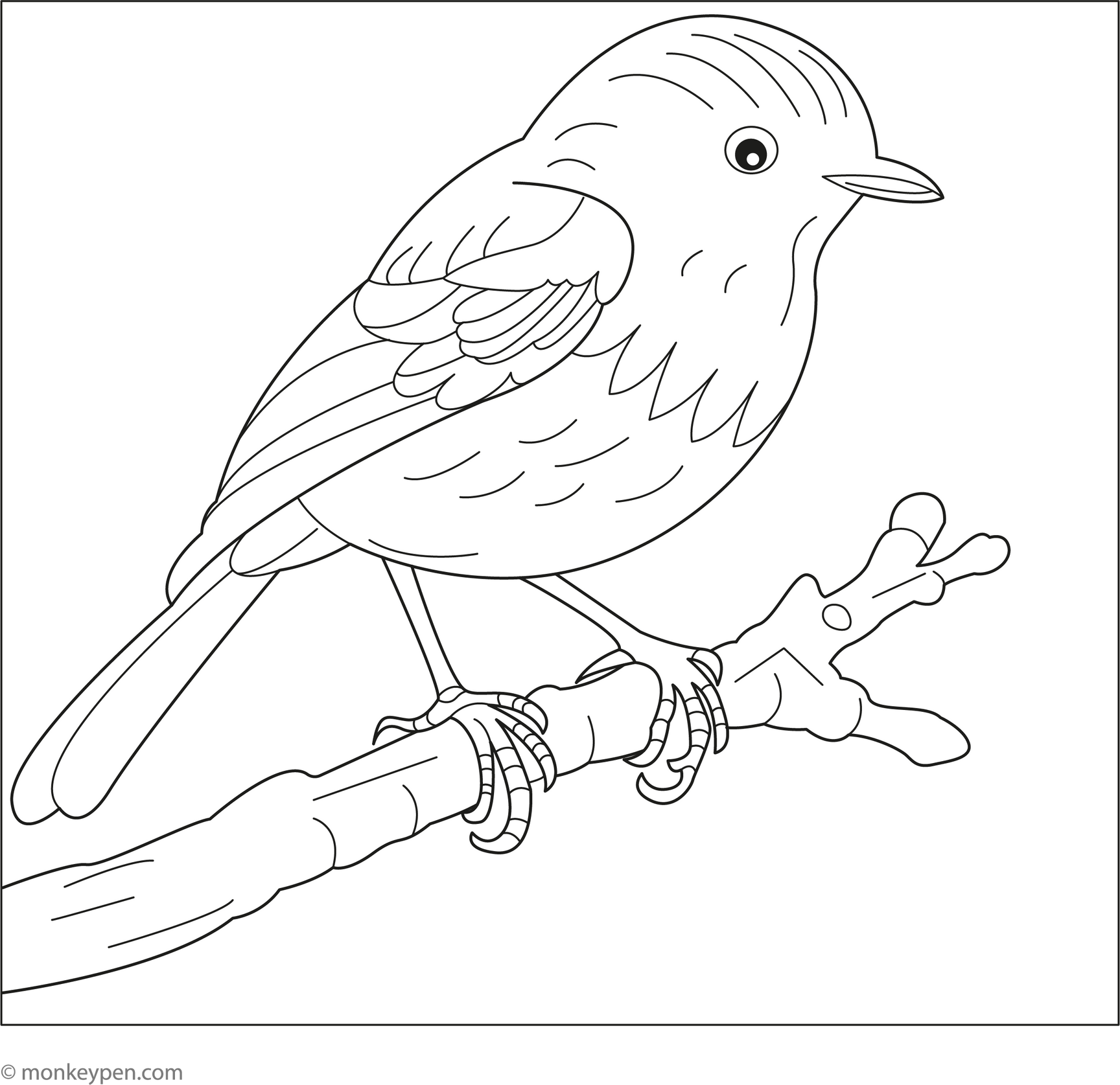 Robin Bird Coloring Page – Free Printable PDF for Kids Fun