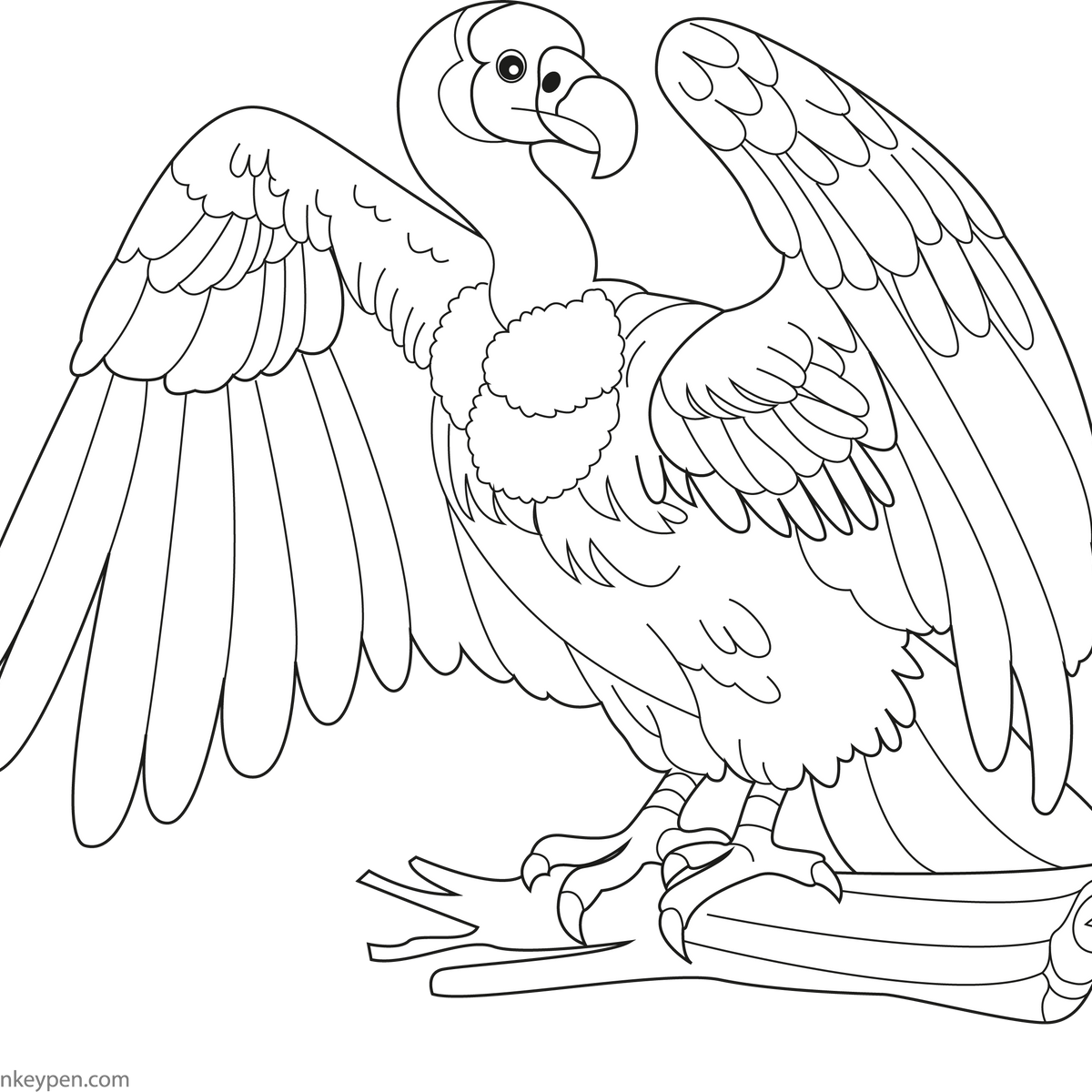 Condor Bird Coloring Pages – Free Printable for Kids