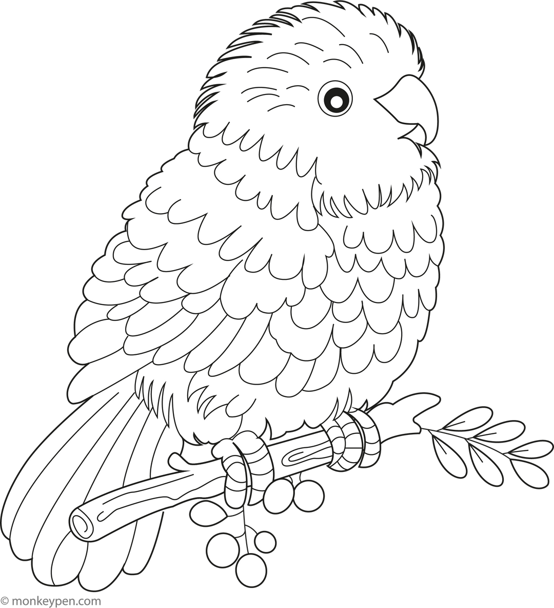 Kakapo - Free Coloring Page Printable PDF
