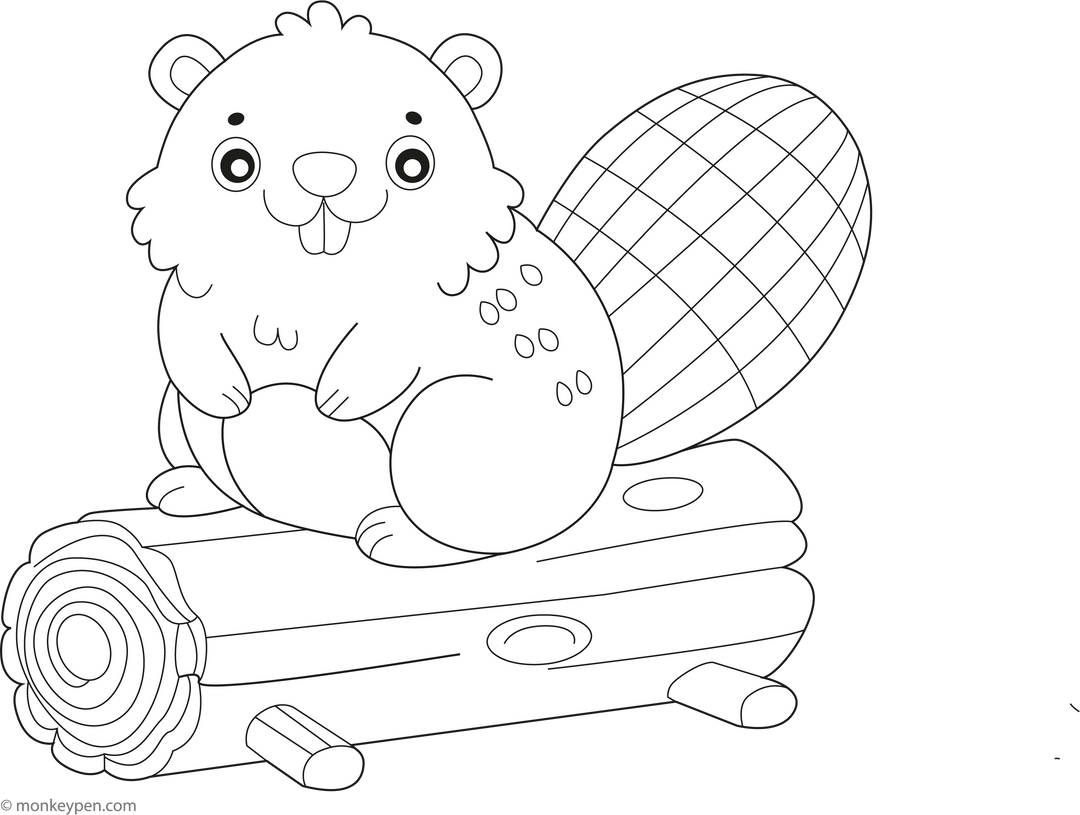 Beaver Coloring Book – Free Printable PDF