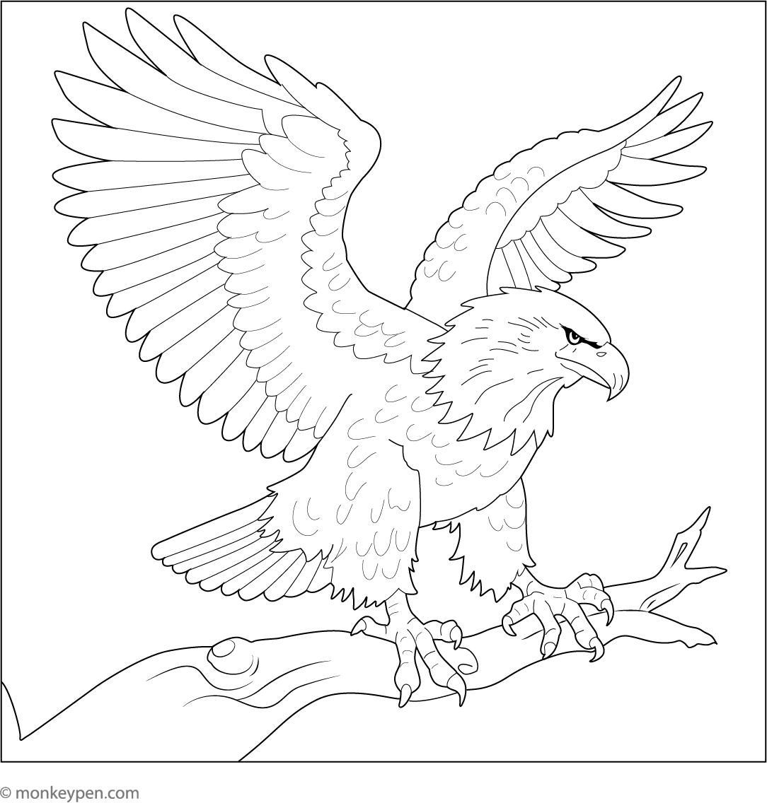 Bald Eagle Coloring Page – Fun Printable Sheet for Kids