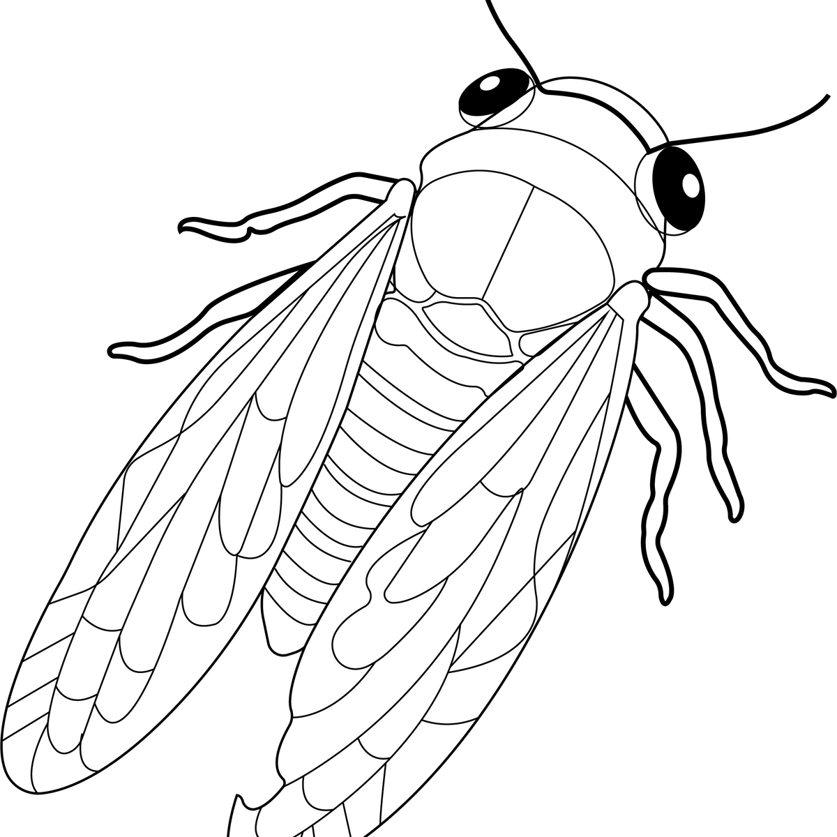 Cicada - Free Coloring Page Printable PDF