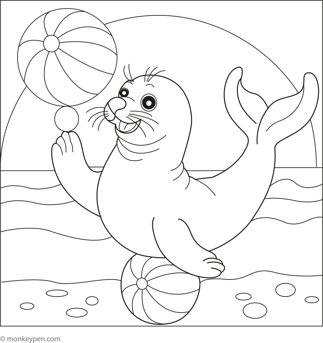 Seal Coloring Book Download – Fun Printable for Kids