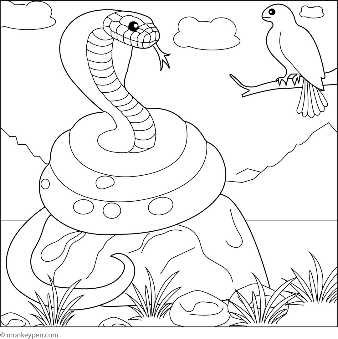 Free Snake Coloring Pages – Printable Reptile Fun for Kids