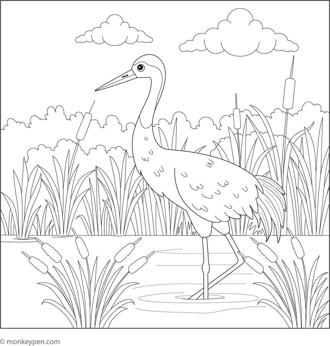 Printable Crane Coloring Book