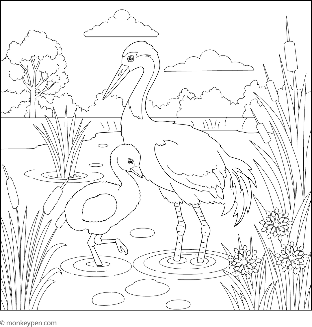 Printable Crane Coloring Book Free Download