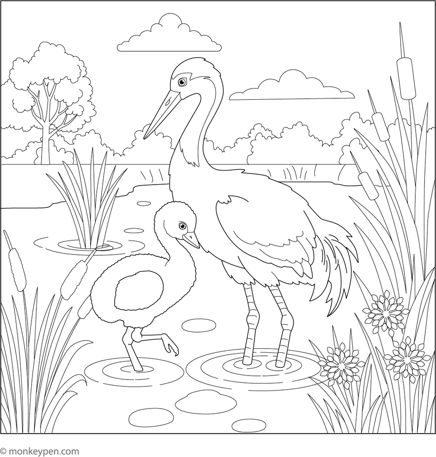 Free Crane Coloring Pages – Graceful Printable Bird Sheets for Kids