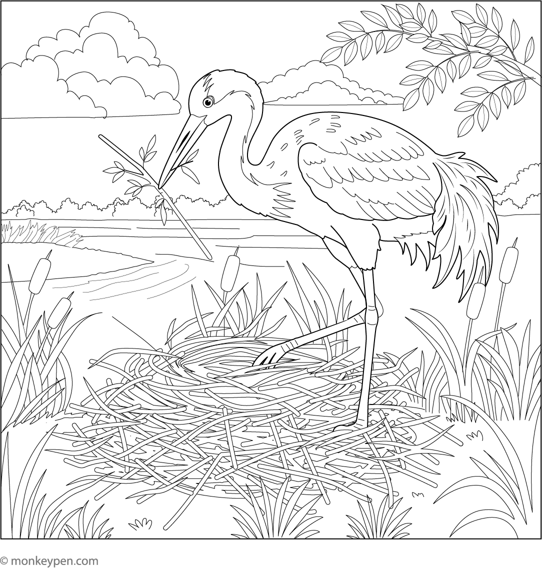 Printable Crane Coloring Book