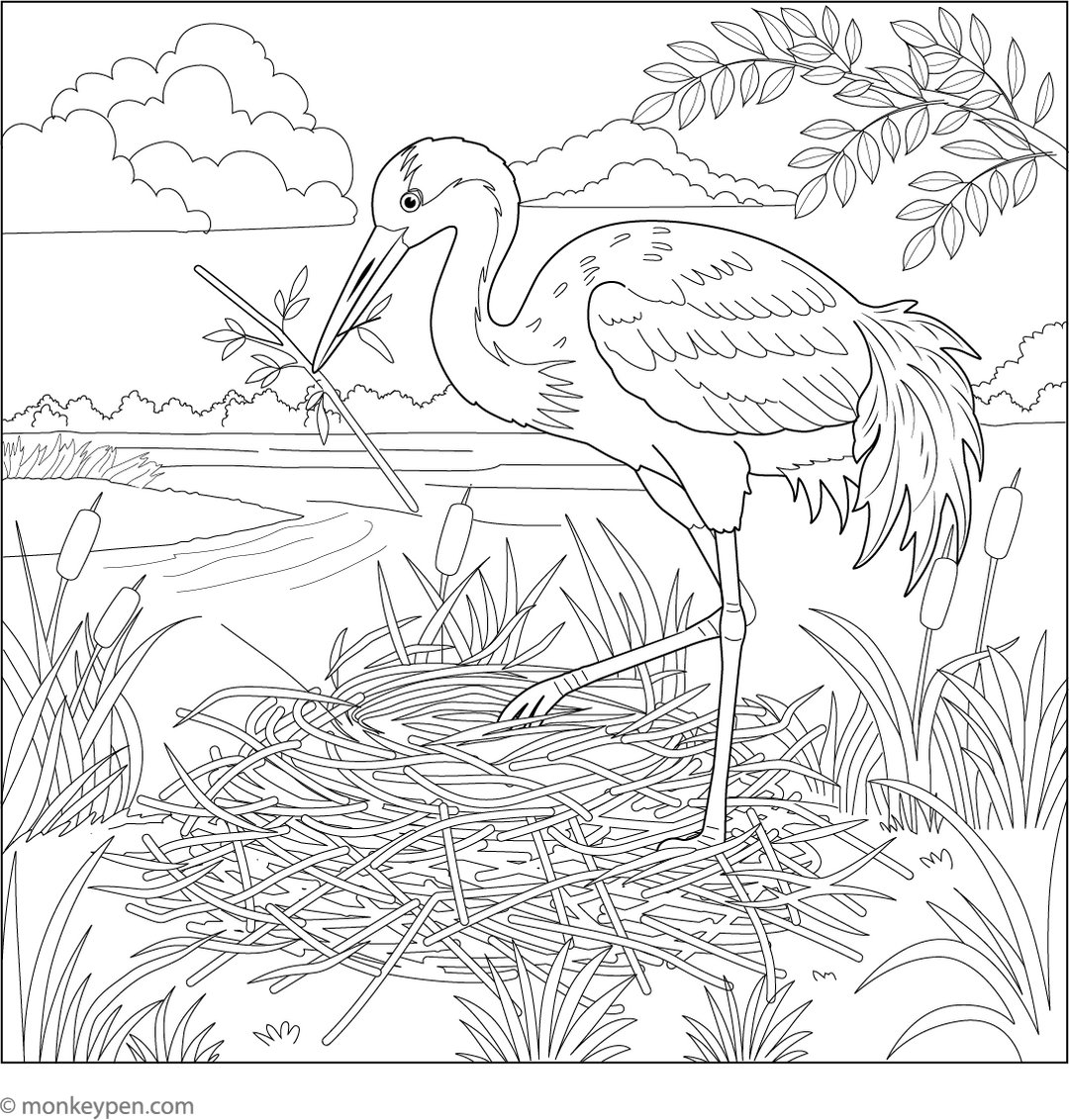 Printable Crane Coloring Book Free Download