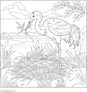 Printable Crane Coloring Book Free Download