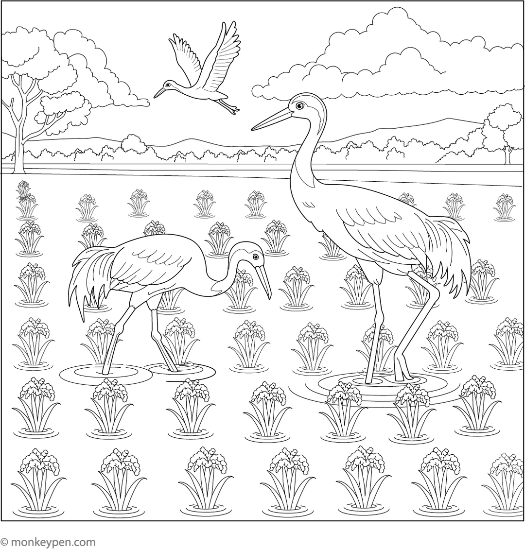 Printable Crane Coloring Book