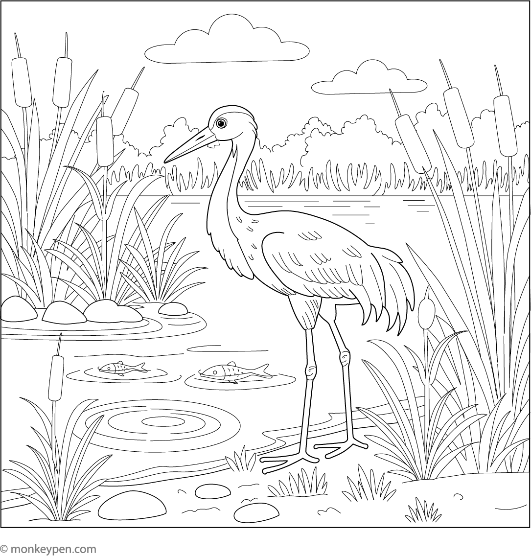 Crane and the Riverbank – Engaging Coloring Page for Kids