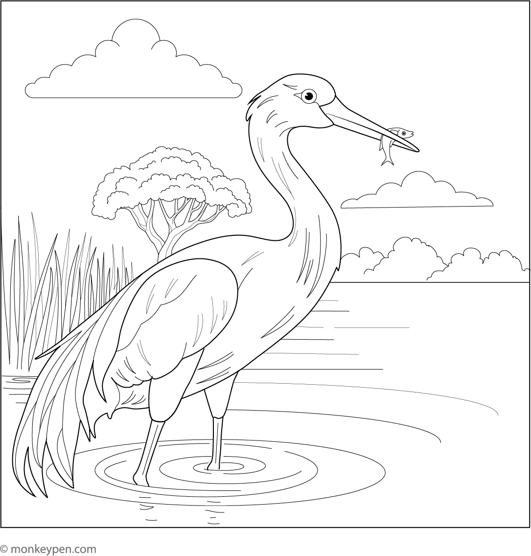 Crane Eating Fish – Fun Printable Coloring Page for Kids