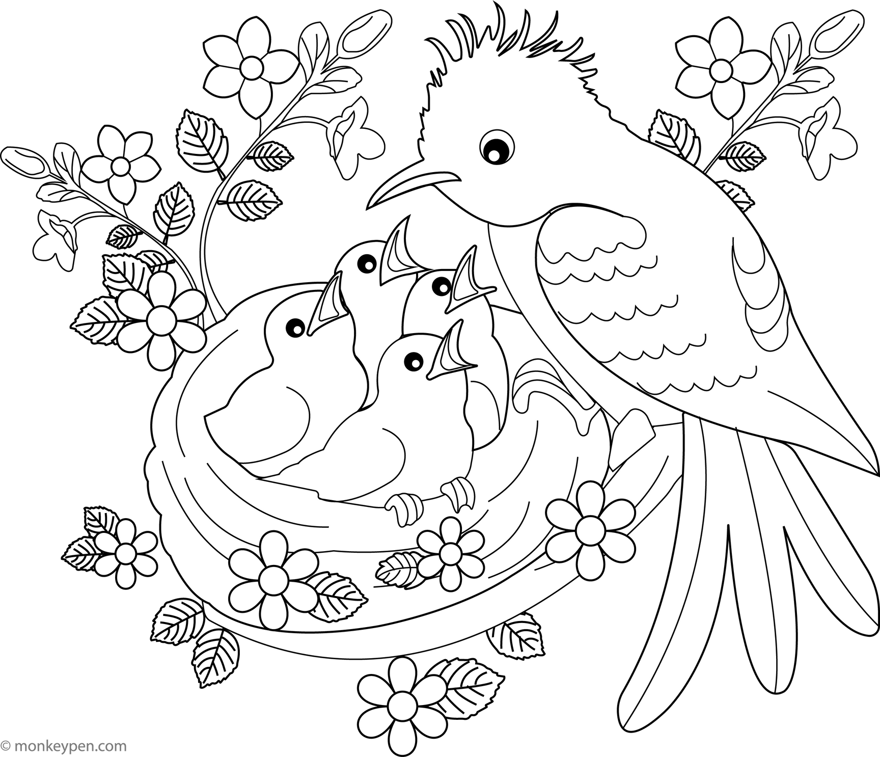 Cuckoo Coloring Book – Free Printable PDF for Kids Fun