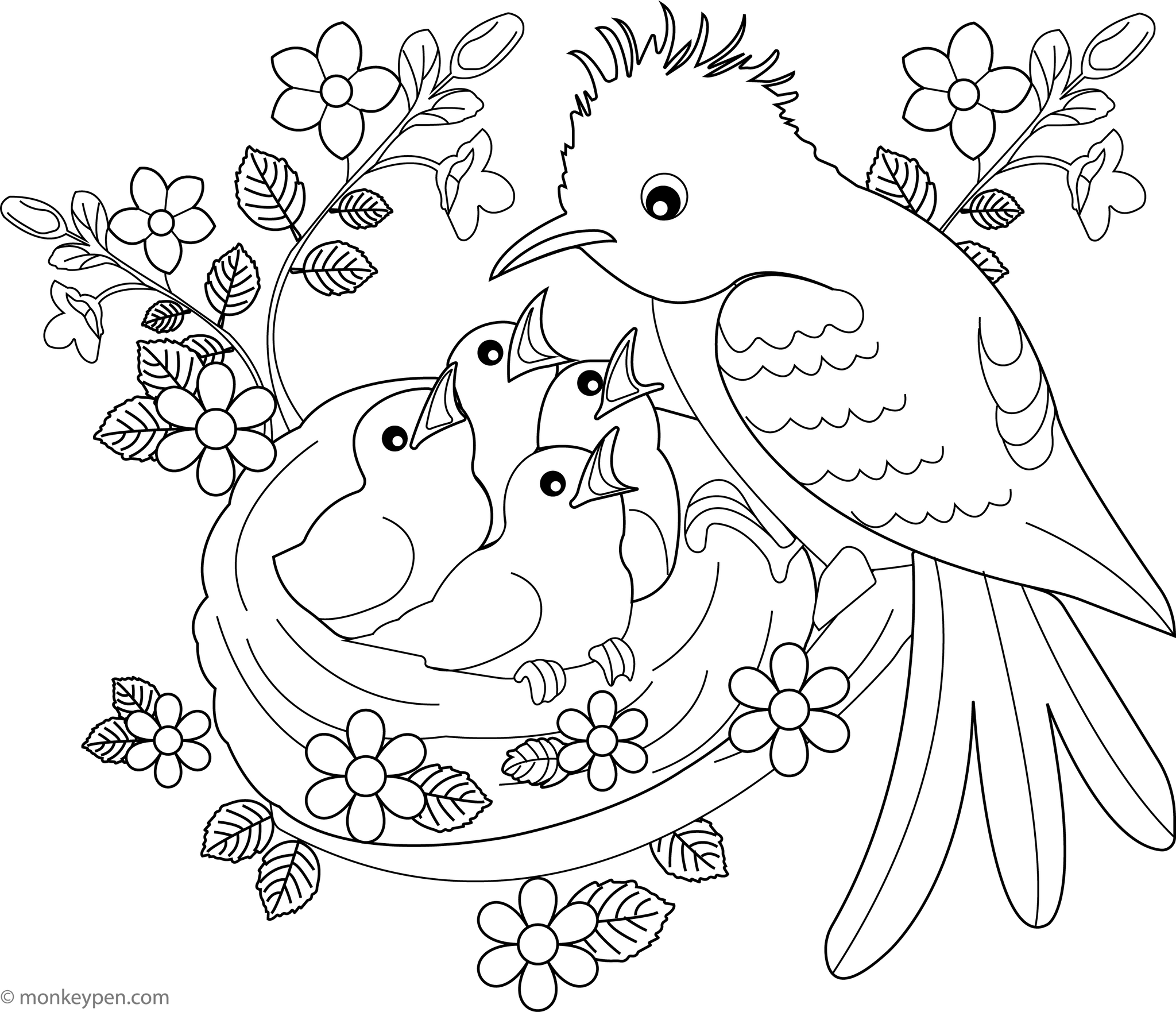 Cuckoo Coloring Book – Free Printable PDF for Kids Fun
