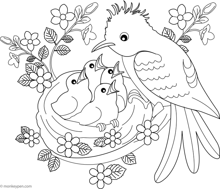 Cuckoo Coloring Book – Free Printable PDF for Kids Fun