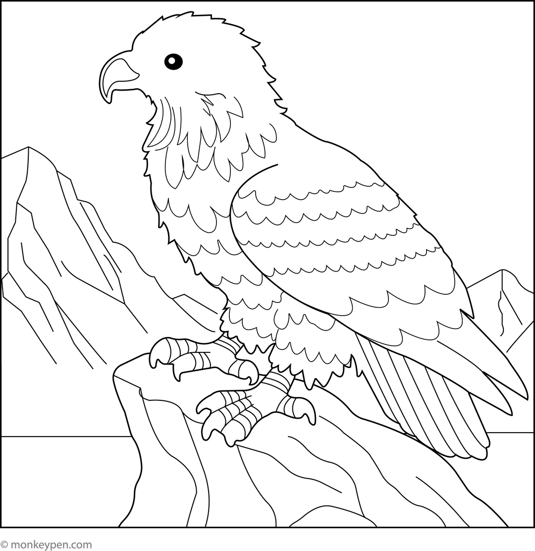 Eagle Coloring Book Free Printable for Kids