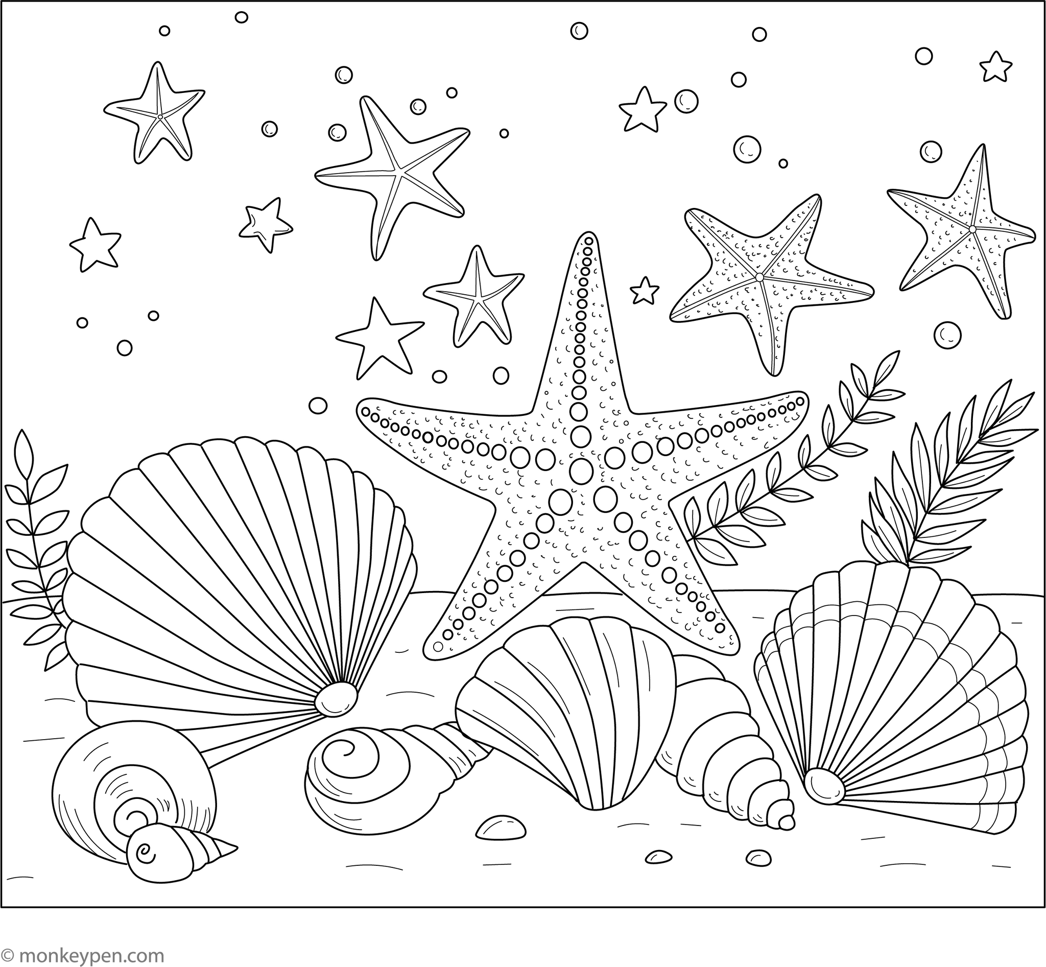 Starfish Coloring Book