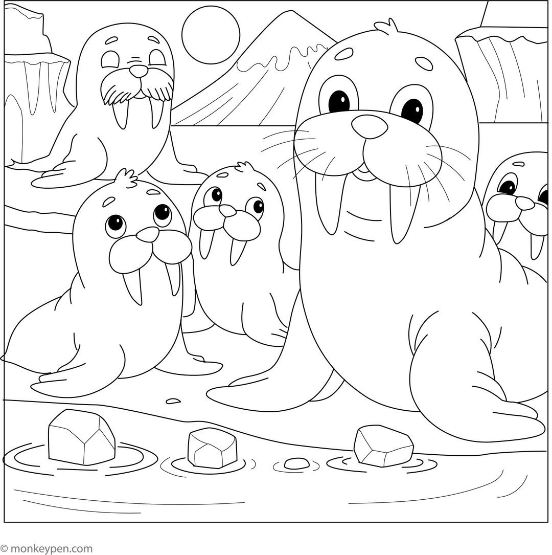 Walrus Coloring Pages – Free Printable for Kids