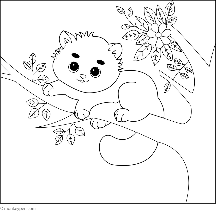 Kitten on Tree | Free Colouring Pages PDF