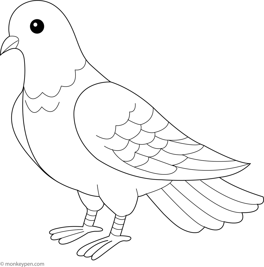 Free Dove Coloring Pages – Printable Peaceful Bird Fun for Kids
