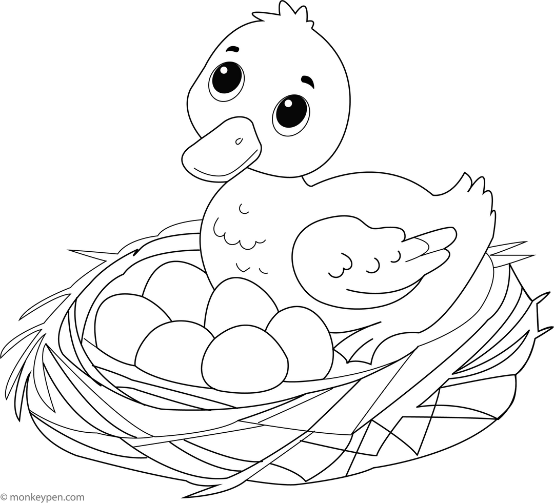 Duck and a Nest | Coloring Pages Free Download