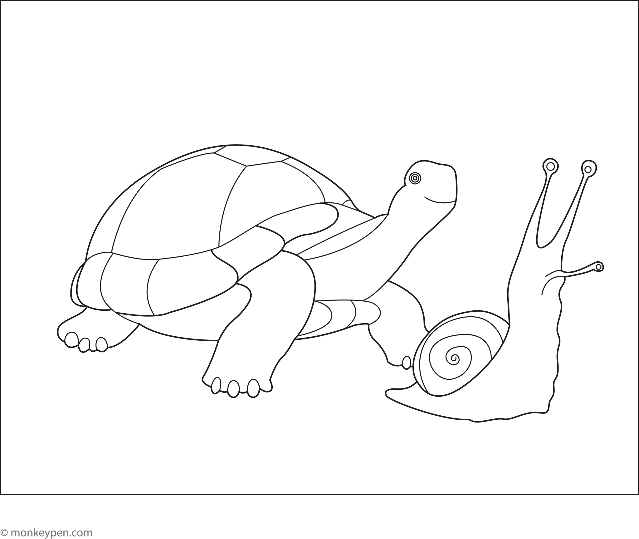 Turtle Coloring Book