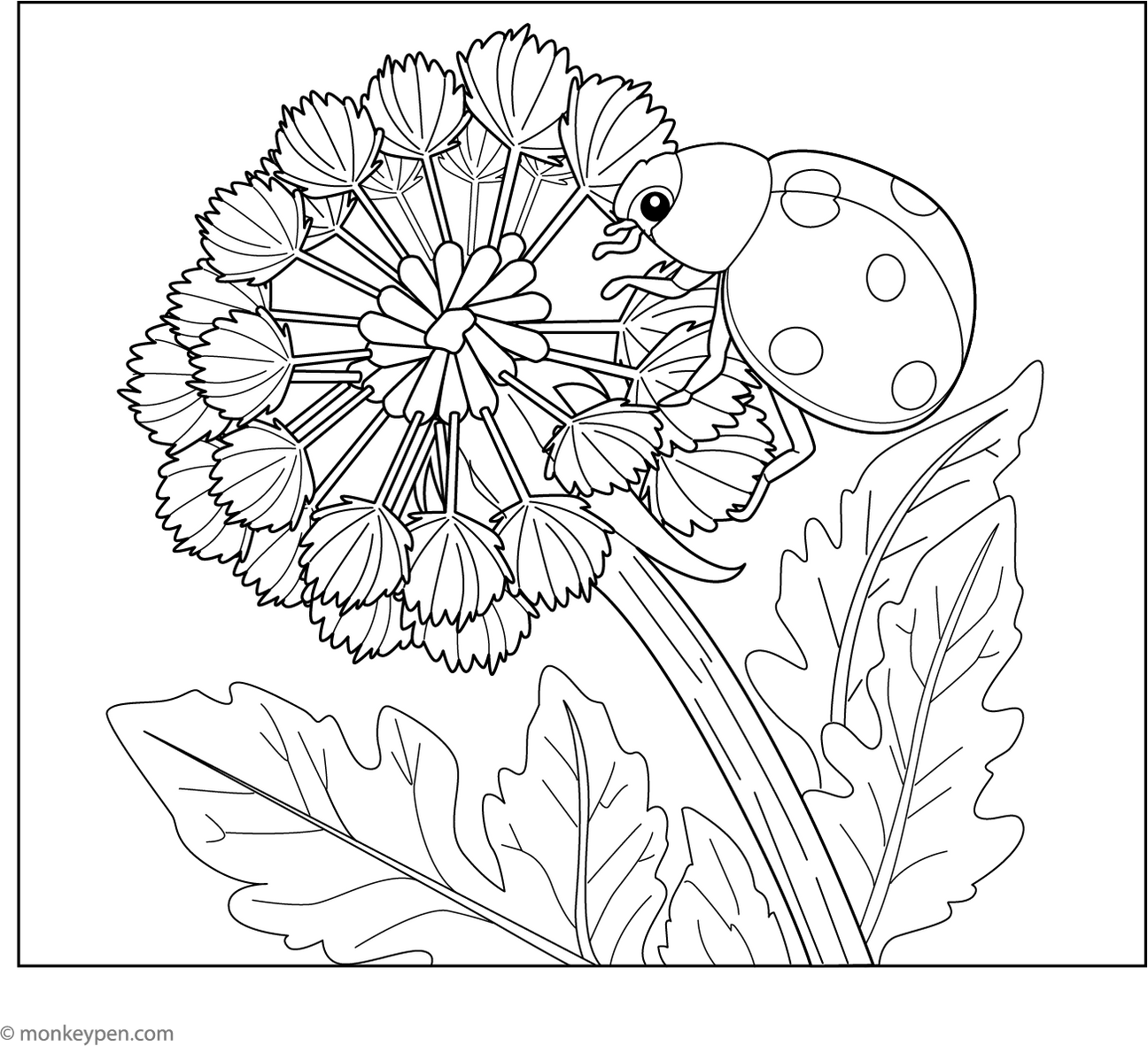 Free Ladybug Coloring Pages – Printable Insect Fun