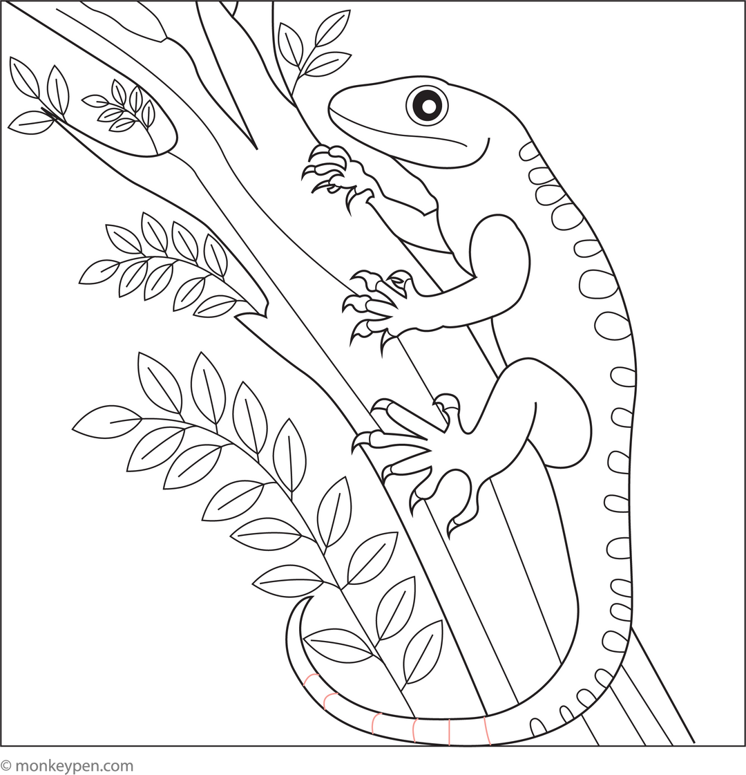 Lizard Climbing a Tree | Free Coloring Page