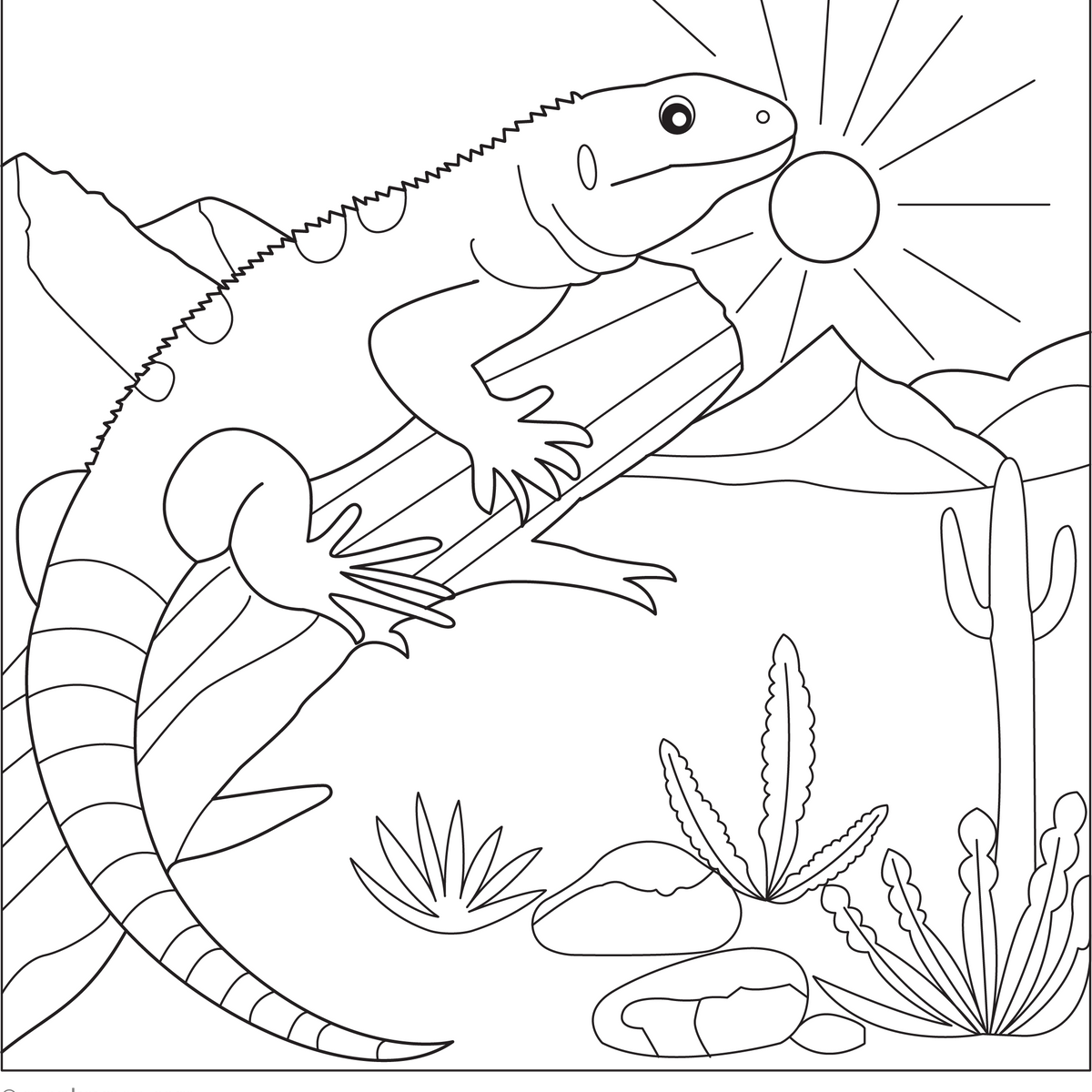Lizard in the Desert | Free Children's Coloring Page