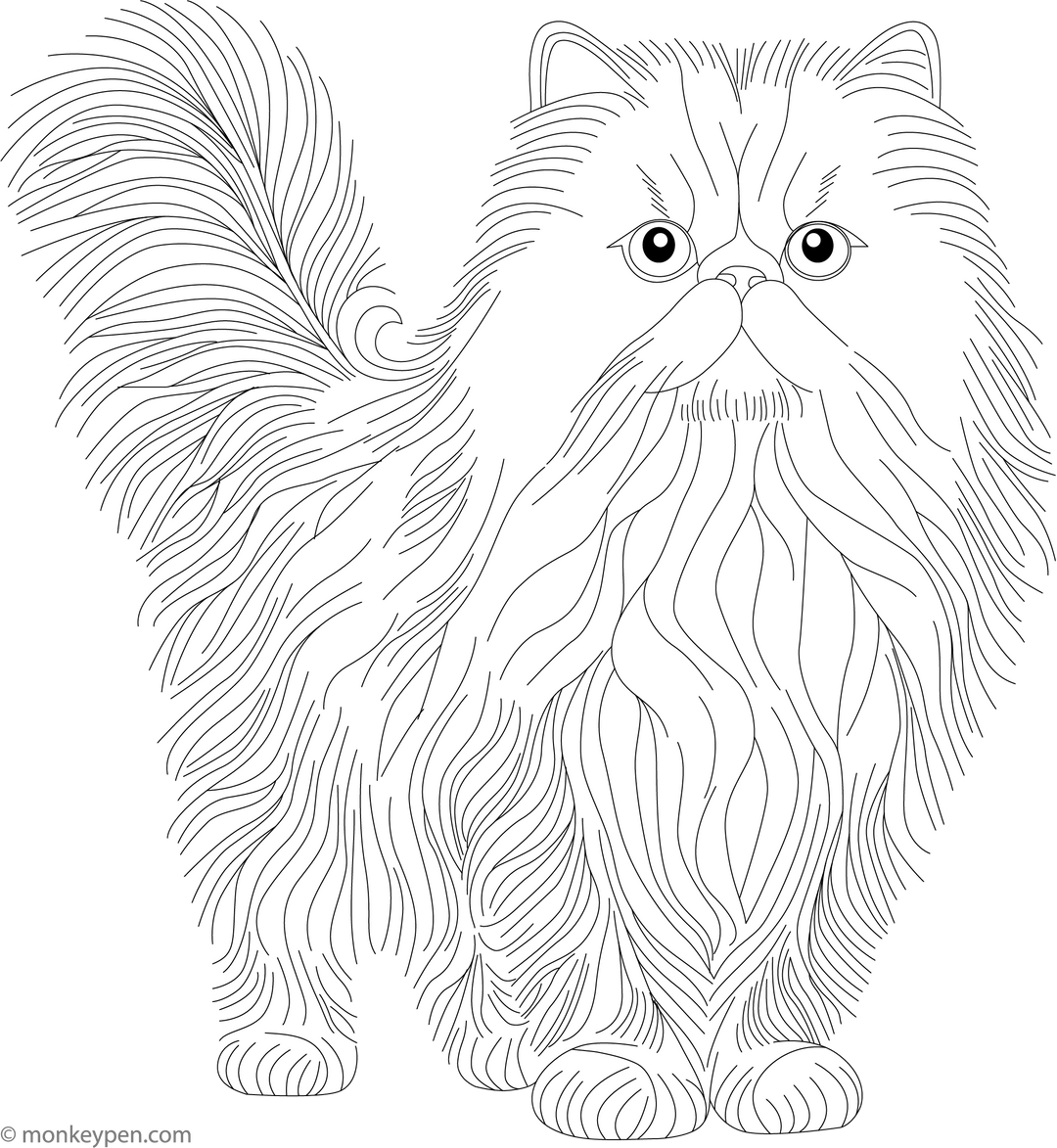Persian Cat | Free Printable Cat Coloring Sheet to Download