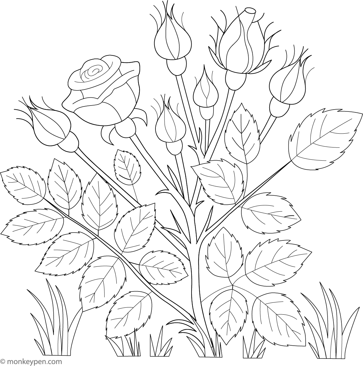 Rose Buds Coloring Page | Relaxing Printable Art for Kids