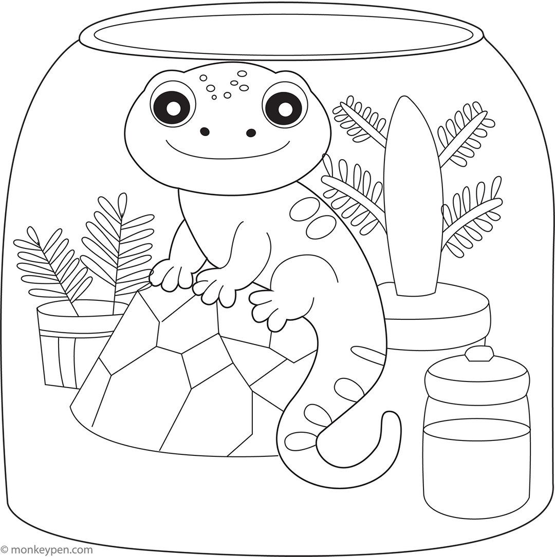Lizard in a Terrarium | Fun Animal Habitat Coloring Page