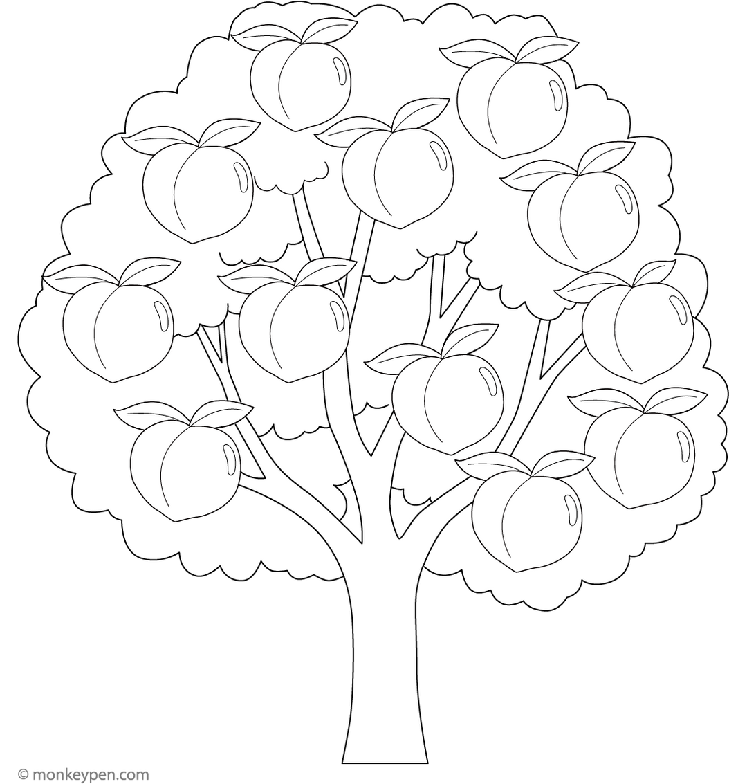 Fruit Coloring Pages & Books – Apple, Banana & More