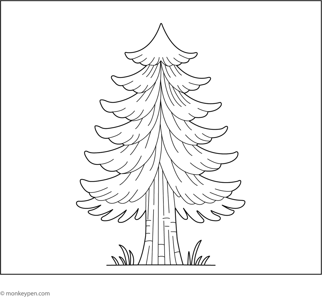 Pine Tree Coloring Page