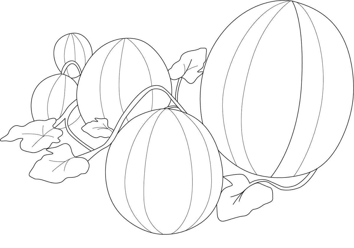Watermelon Patch | Free Coloring Page for Children