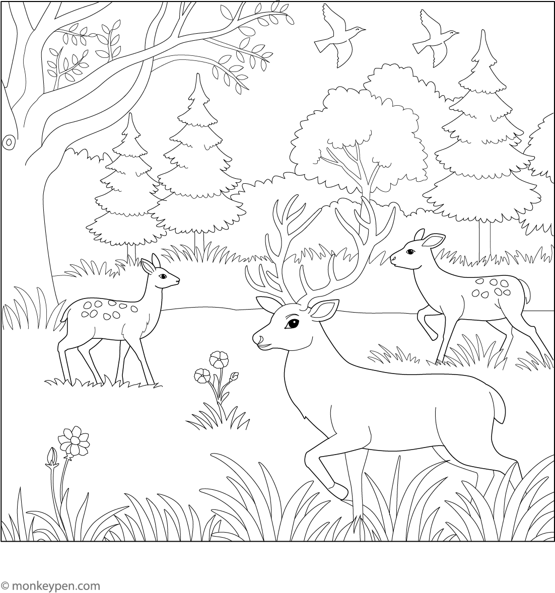 Wildlife Nature Reserves Coloring Page