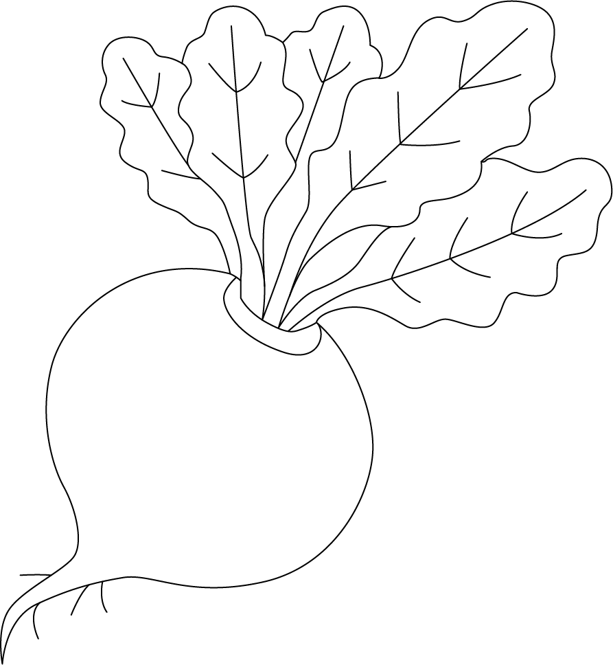 Turnip Coloring Page – Free Printable PDF for Kids