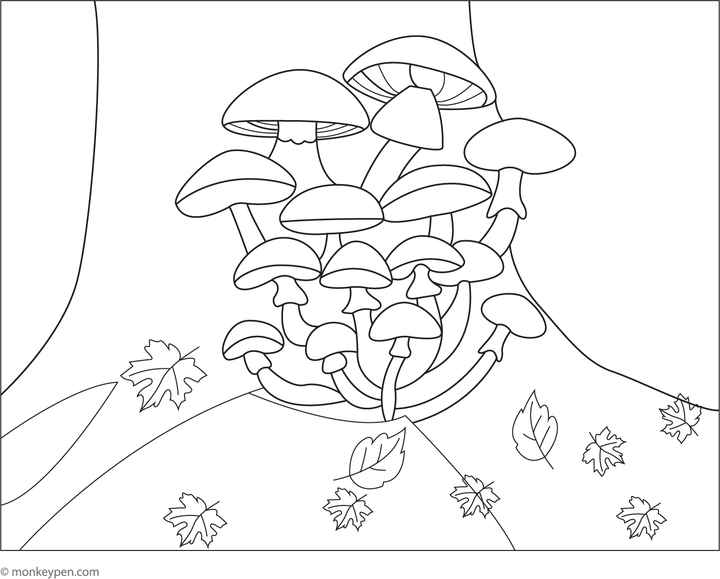 Mushroom Coloring Book - Free Printable