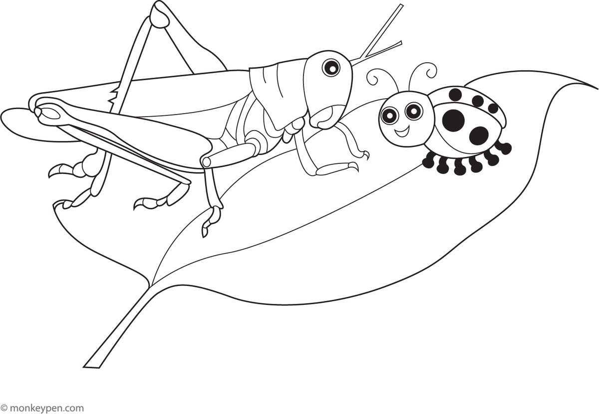 Grasshopper and a Ladybug | Free Coloring Pages