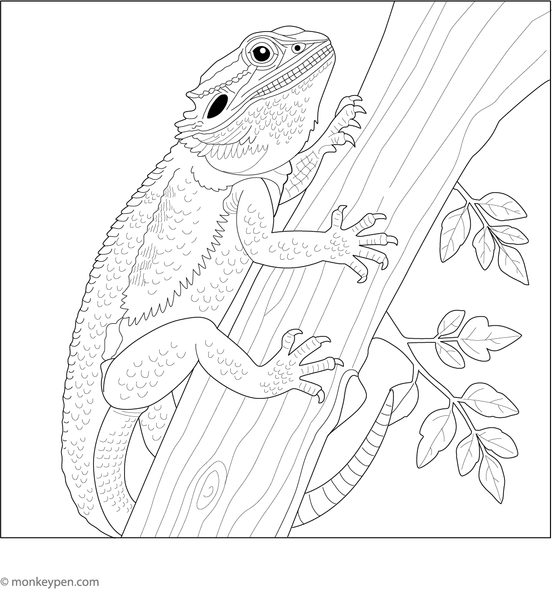 Bearded Dragon Climbing Tree Coloring Page