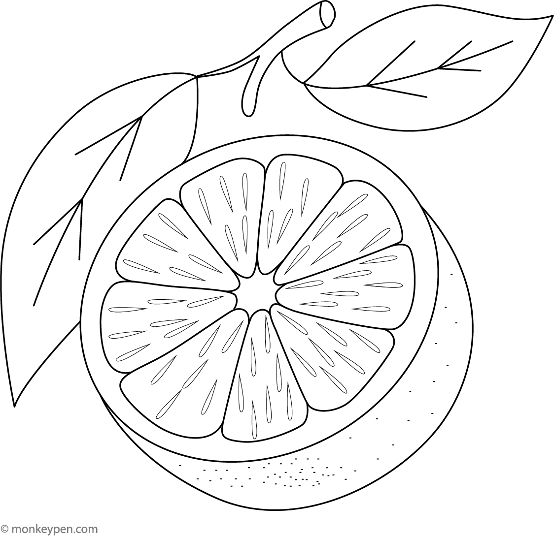 Orange Slice | Free Coloring Pages