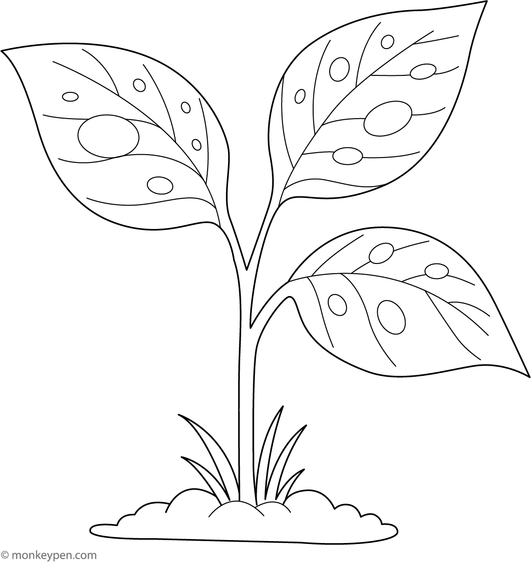 Leaf Covered in Tiny Dew Drops with an Ant Crawling | Free Coloring Pa