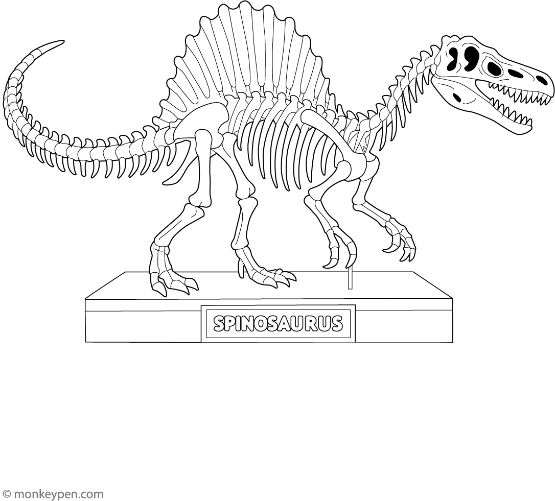 Spinosaurus Skeleton in a Museum | Free Coloring Pages