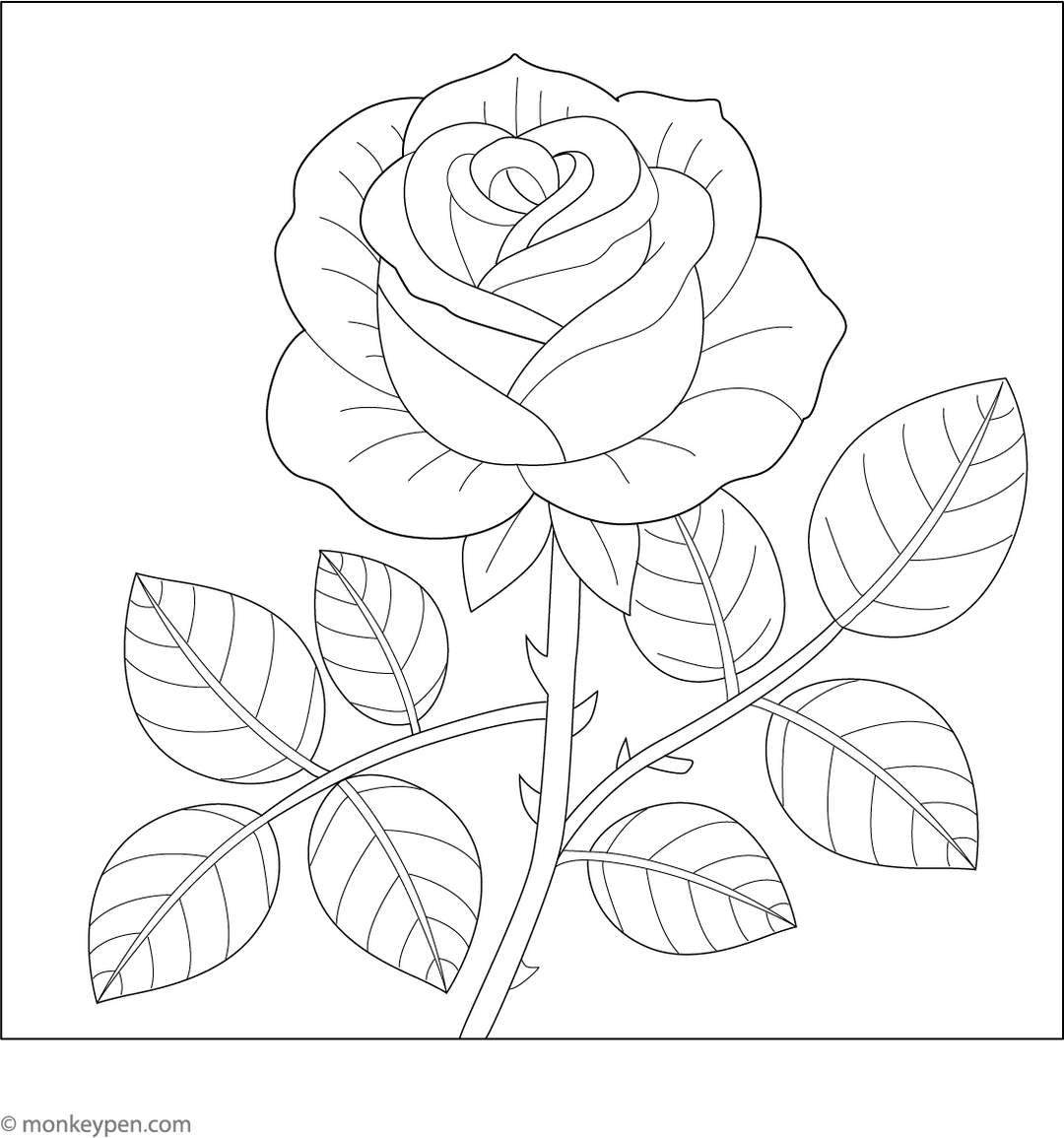 Learn and Color: Rose Coloring Page for Kids
